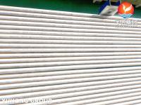 China ASTM A213 TP304L 03Х18Н11 Low Carbon Corrosion Resistant Stainless Steel Seamless Heat Exchanger Tube for sale