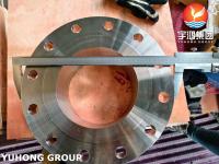 China ASTM B564 N04400 Monel 400 Nickel Alloy Steel Forged Blind Raised Face Flange for sale