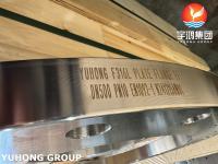 China EN1092-1 F316L Stainless Steel Plate Flange Flat Face for Pipeline for sale