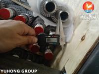 China High Frequency Welded Serrated Finned Tube TP304H Base / SS304 Fin for sale