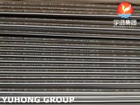 China ASTM A269 TP316L BA Stainless Steel Seamless Tube For Food Plant 320# Outside Polished for sale