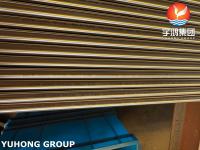 China Bright Annealed Stainless Steel Seamless Tube For Pharmaceutical Industry ASTM A269 TP316L for sale