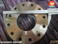 China ASTM A182 F304L Stainless Steel Flange Weldneck Raised Face for sale