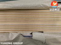 China ASTM B111 C44300 Copper Alloy Tube for Condenser and Heat Exchanger for sale
