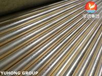 China ASTM B111 C44300 Copper Alloy Tube for Condenser and Heat Exchanger for sale