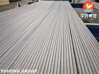 China ASME SA213 TP316L Stainless Steel Seamless Tube Heat Exchanger Application for sale