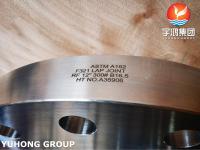 China ASTM A182 F321 / UNS S32100 / 1.4541 Stainless Steel Flange Lap Joint Flange RF for sale