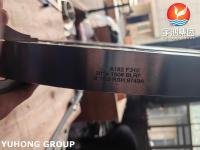 China ASTM A182 F310 Weld Neck Forged Stainless Steel Flange for High Temperature & High Pressure Pipeline Systems for sale