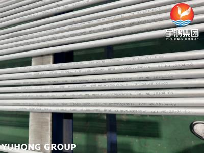 China Stainless Steel ASTM A269 TP316L Seamless Tube For Condenser , Pickled And Annealed for sale