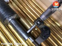 China ASTM A179 L-type Fin Seamless (Smls) Tube, High Efficiency Heat Exchange Low-Carbon Steel Fin Tube for sale
