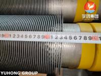 China ASTM A376 TP347H Fin Tube CS, High-Temperature Resistant Composite Fin Tube (CS Base + TP347H Fin) for sale