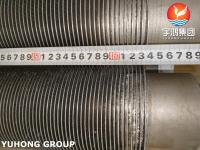 China ASTM A376 TP347H Fin Tube CS, High-Temperature Resistant Composite Fin Tube (CS Base + TP347H Fin) for sale