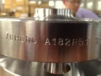 China SO RF Flanges,WN RF Flanges ,SW RF Flanges , BL RF Flanges , Screwed Flanges , Long Weld Neck Flanges, Ring Joint Flange for sale
