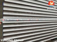 China ASTM A312 TP316L (UNS S31603) Stainless Steel Seamless Pipe for Petrochemical for sale