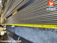 China Stainless Steel Seamless Bright Annealed Tube ASTM A269 TP321H For Boiller for sale