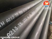 China Boiler Tube ASTM A213 Grade T5 Alloy Steel Seamless Tube Black Painted For Boiler for sale