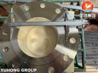 China ASTM A182 F316/316L Stainless Steel Flange Weld Neck / WNRF Flange in Piping System for sale