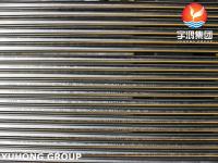 China ASTM A789 UNS S32205 Duplex Steel Tube 450MPa Yield Cl⁻ Resistant for Heat Exchanger for sale