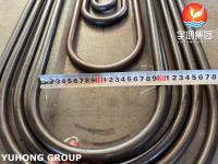 China ASME SA213 T11 Seamless Alloy Steel Tube for Boiler and Superheater for sale