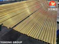 China Copper Alloy Seamless Tube ASTM B111 C44300 C70600 C71500 C68700  C71640   Air cooler Radiator Condenser Application for sale