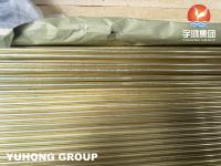 China ASTM B111 C44300 Admiralty Brass Seamless Tube for Heat Exchanger & Condenser for sale