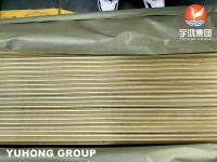 China ASTM B111 C44300 Admiralty Brass Seamless Tube for Heat Exchanger & Condenser for sale