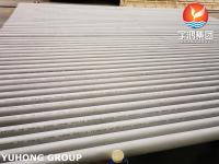 China Stainless steel seamless tube Heat exchanger tube Seamless Ferritic and Austenitic Alloy-Steel Boiler, Superheate ASTM A213/A213M TP304,TP304L TP304H for sale
