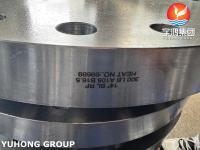 China ASTM A182 F316L Blind Flange 1.4404 Stainless Steel Flange Forged Flange BLRF Flange for sale