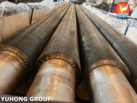 China High-Frequency Welded Finned Tubes for Waste Heat Recovery – ASTM A269 TP321 Stainless Steel for sale