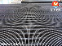 China Double H-Type Finned Tubes for Waste Heat Recovery Boilers – ASTM A179 Carbon Steel for sale