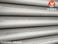 China EN10216-5 1.4462 UNS S32205 Duplex Stainless Steel Seamless Pipe for sale