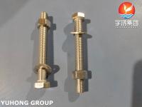 China Super Duplex Fasteners ISO4017 S32205 2205 Duplex Steel Hex Bolt Nut Washer for sale