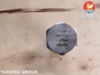 China Stainless Steel Fitting Hex Head Plug B16.11 Hexagon ASME SA105 Class 3000 for sale