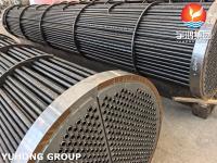 China ASME Carbon Steel Tube Bundle Replacement | Heavy Forged Heat Exchanger Tubesheet Supplier for sale