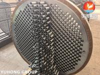 China ASME Carbon Steel Tube Bundle Replacement | Heavy Forged Heat Exchanger Tubesheet Supplier for sale