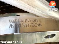 China EN 1092-1 F316L Stainless Steel Flat Face FF Flange PN16 for Piping for sale