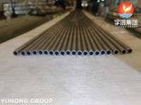 China ASTM A269 TP316L Welded Stainless Steel Tube for Shell and Tube Heat Exchanger with Corrosion Resistance for sale