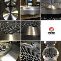 China Heavy Duty Steel Baffle Plate Flanges F304, F316L Grade High Performance for sale