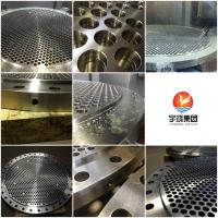 China Heavy Duty Steel Baffle Plate Flanges F304, F316L Grade High Performance for sale