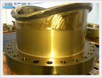 China Forged Nozzle Flange For Boiler And Heat Exchanger Application for sale