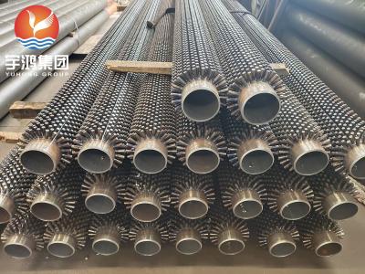 China ASTM A312 TP316L Studded Tube Stainless Steel For Heat Exchanger for sale