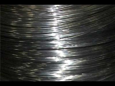 China Fencing Stainless Steel Spring Wire 304 WPA WPB WPC Customized Length for sale