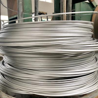 China High Elasticity Stainless Steel Spring Wire For Anti Corona Virus Sprayer Spring 302 Wire for sale