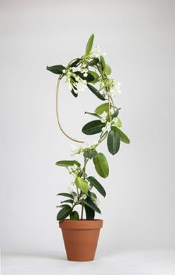 China Metal Plant Support Stainless Steel Wire Forming Bright Surface For Potted Plants for sale