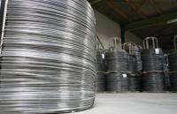 China Electrical Nails Wire Mechanical Hot Dipped Galvanized For Fencing for sale