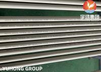 China ASTM A312 (ASME SA312) TP304 Stainless Steel Seamless Pipe for Petrochemical Application for sale