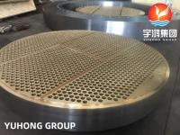 China STEEL BAFFLE PLATE FLANGES F304, F316L TUBESHEET,DISC FOR HEAT EXCHANGER for sale