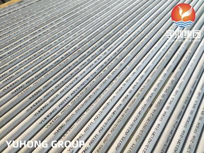 China High Strength A213 TP304 Stainless Steel Seamless Heat Exchanger Tubes for sale