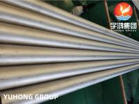 China ASTM B622 UNS N10276 / 2.4819 / Hastelloy C276 Nickel Alloy Seamless Pipe for sale