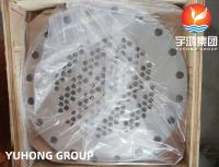 China ASTM A182/ ASME SA182  F51, F53, F60, F55 Duplex or Super Duplex Tubesheet for sale